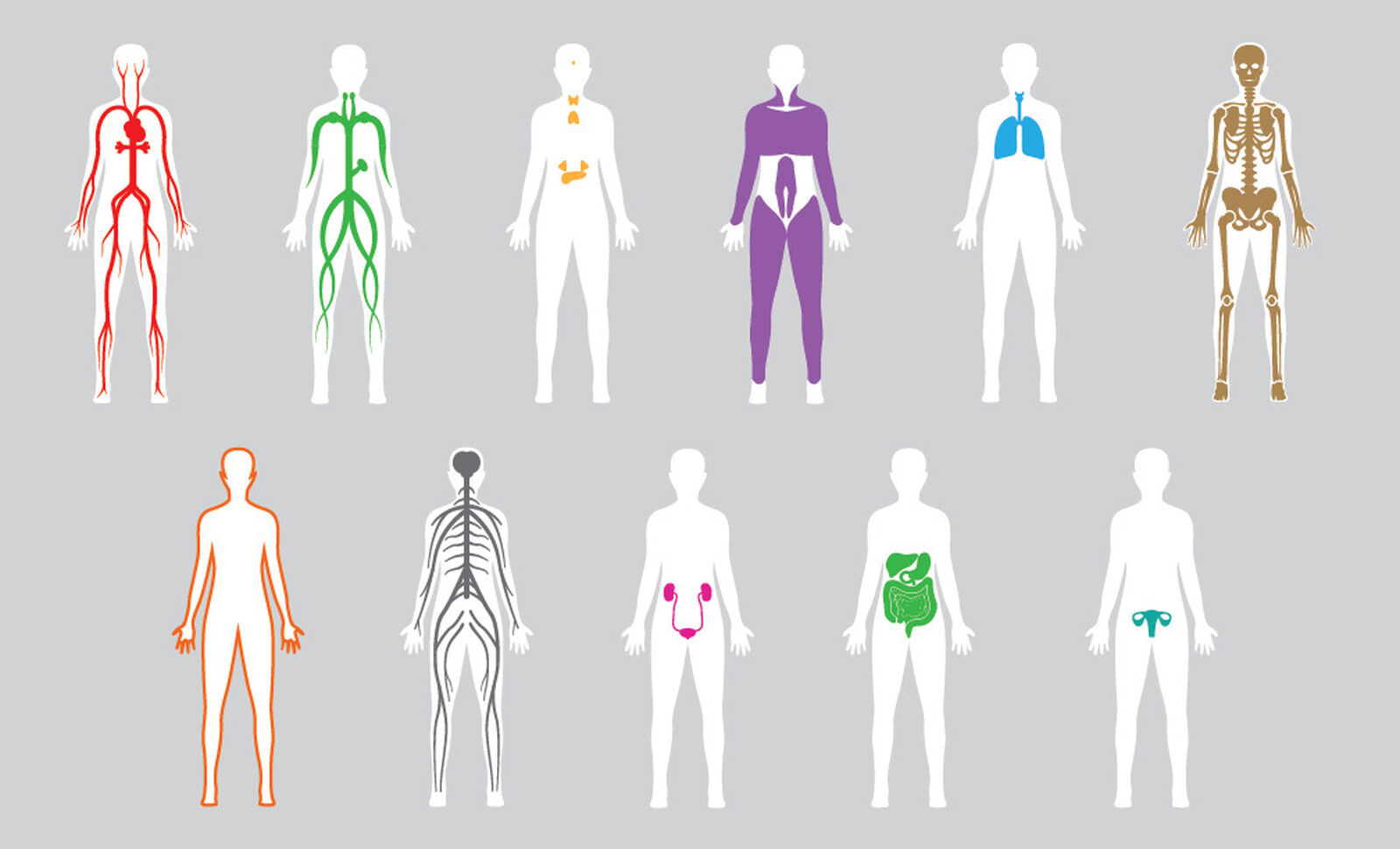 The WELL Building Standard | Affiliated Engineers