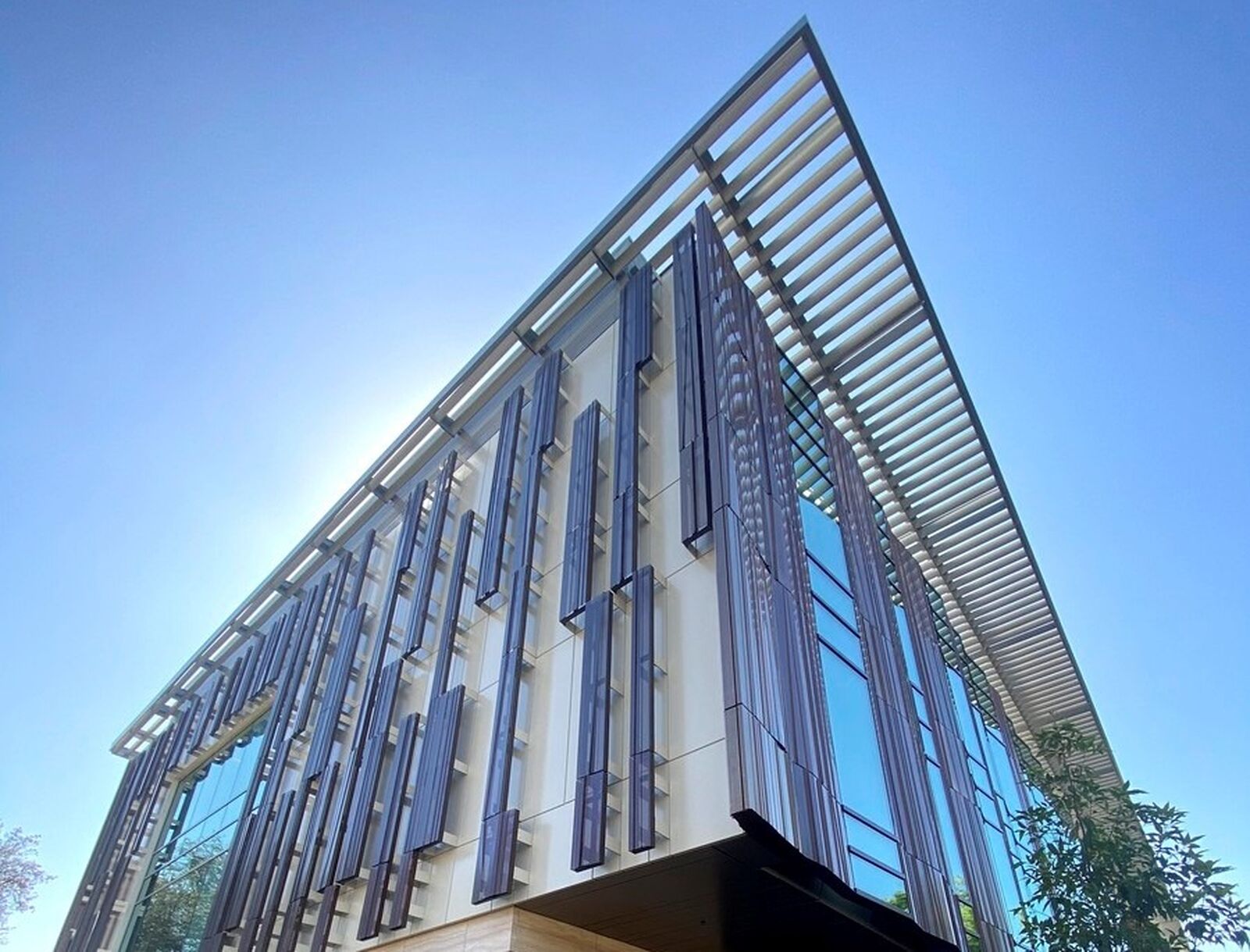 Caltech Tianqiao and Chrissy Chen Institute for Neuroscience Achieves ... Caltech Tianqiao and Chrissy Chen Institute for Neuroscience Achieves ...