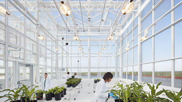 North Carolina State University - Plant Sciences Building | Affiliated ...